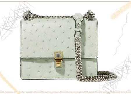 19 Best Chain Bags for True Fashionistas: Chain Strap Bags
