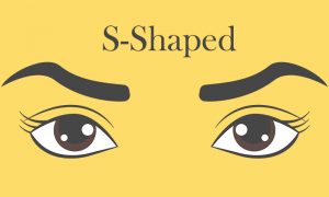 Common Eyebrow Shapes: How to Find Your Perfect Brow Shape
